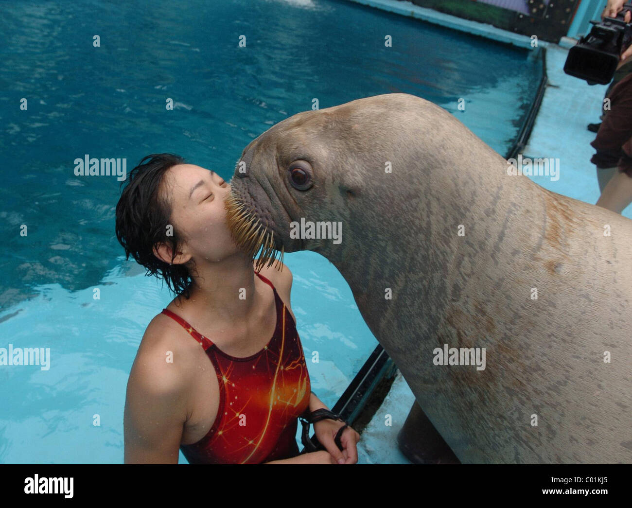 SEALED WITH A KISS Forget the thrill of swimming with dolphins - it ...