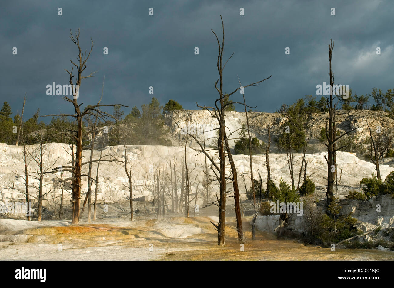 Limestone terraces of Mammoth Hot Springs, Yellowstone National Park ...
