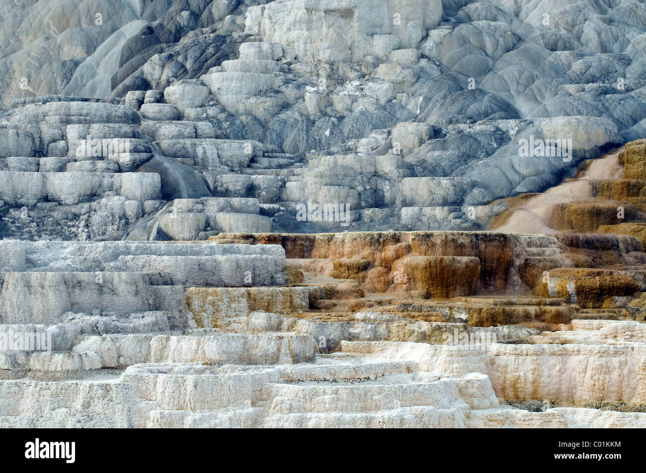 Limestone terraces of Mammoth Hot Springs, Yellowstone National Park ...