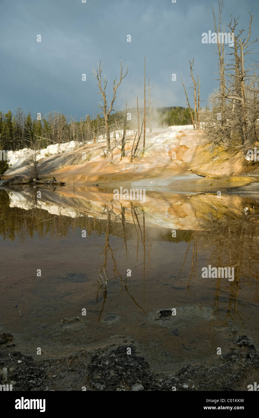 Limestone terraces of Mammoth Hot Springs, Yellowstone National Park ...