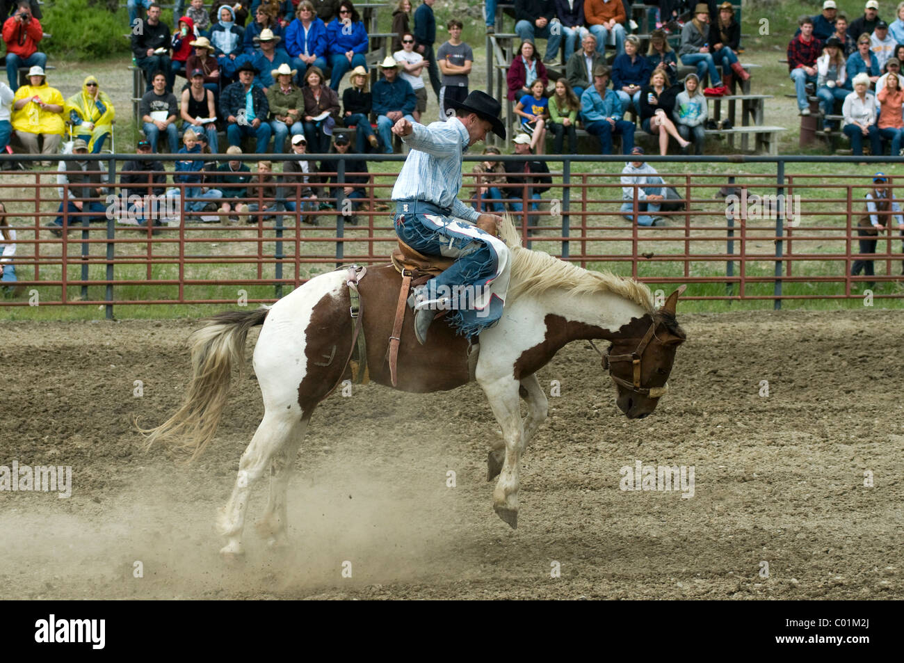 Montana rodeo hi-res stock photography and images - Alamy