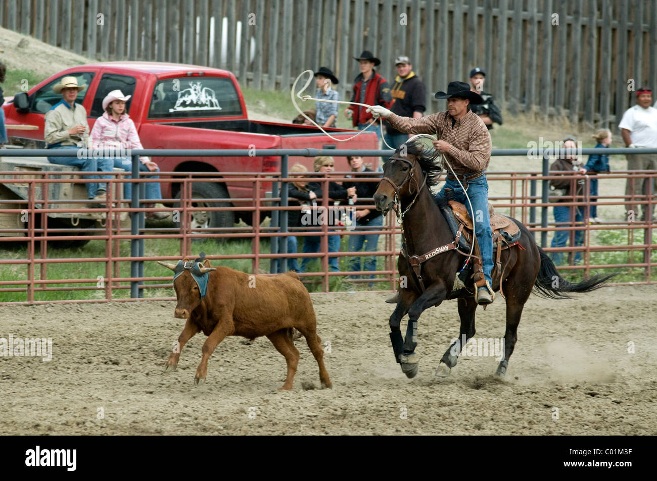 Rodeo, Gardiner, Montana, USA, North America Stock Photo - Alamy