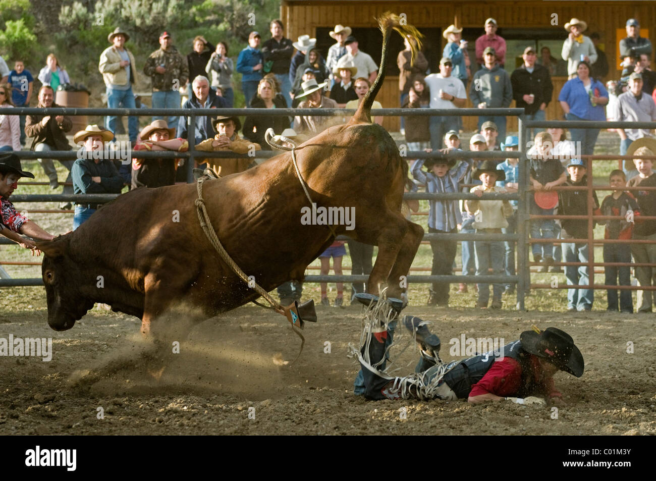 Cultura rodeo hi-res stock photography and images - Alamy