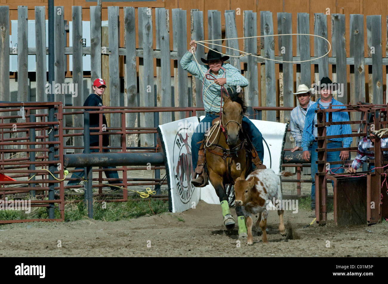 Rodeo, Gardiner, Montana, USA, North America Stock Photo - Alamy