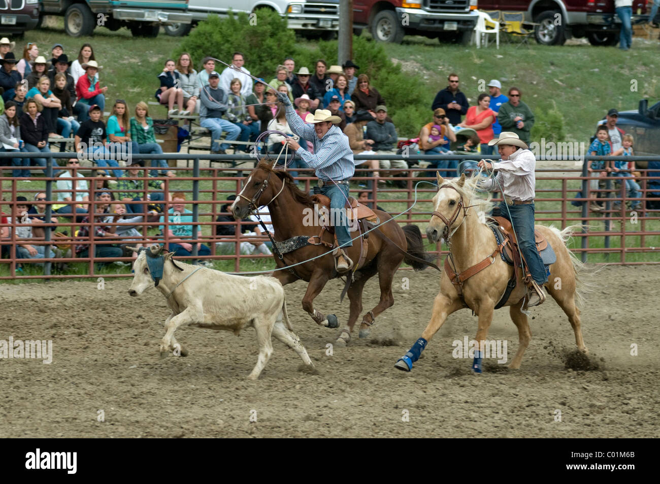 Rodeo, Gardiner, Montana, USA, North America Stock Photo - Alamy