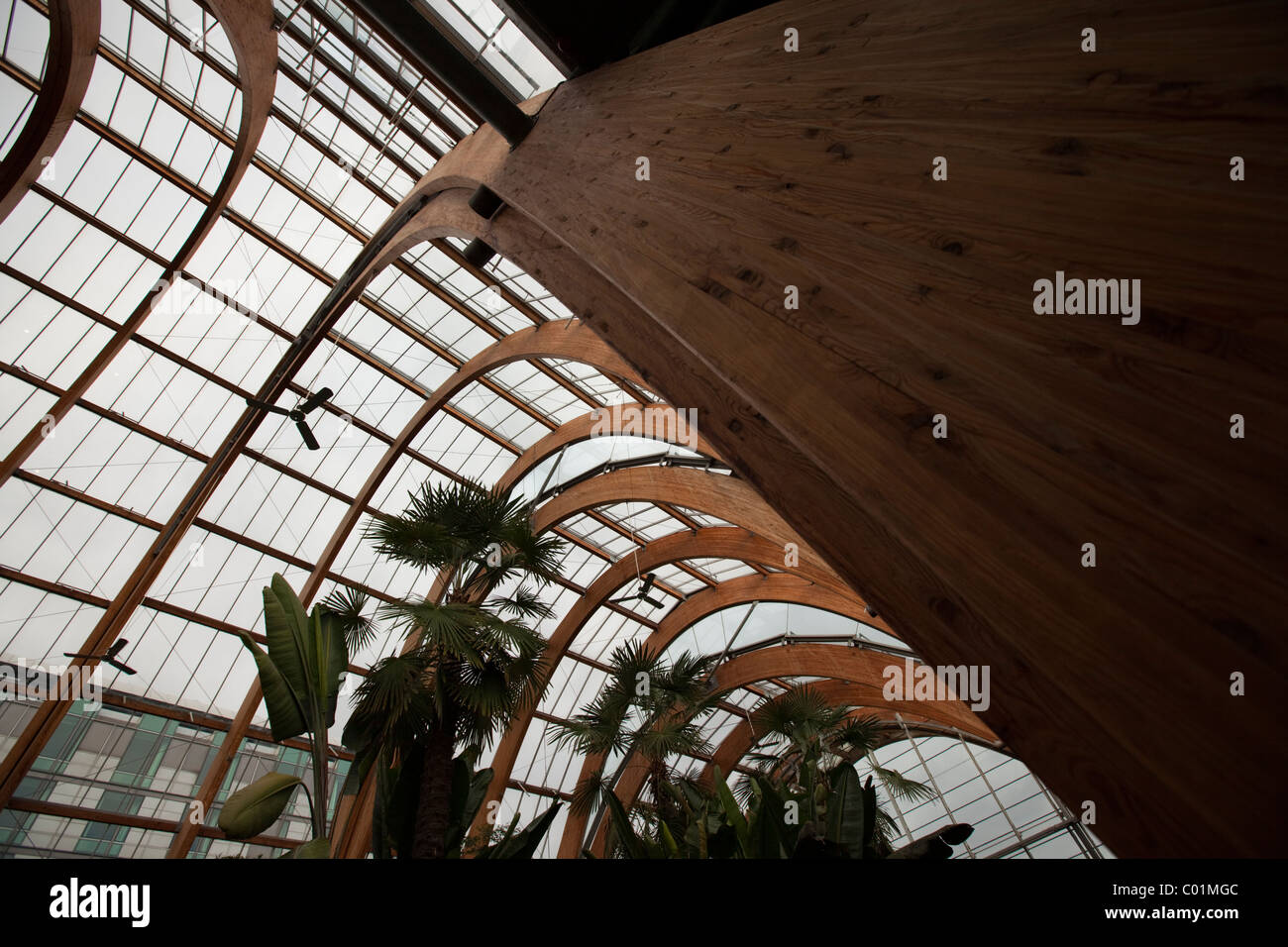 Internal view of the Winter Gardens building/ structure in Sheffield ...