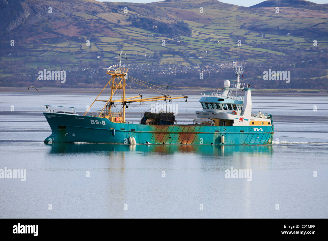Mussel Dredger Valente on the Menai Strait with the foothills of ...