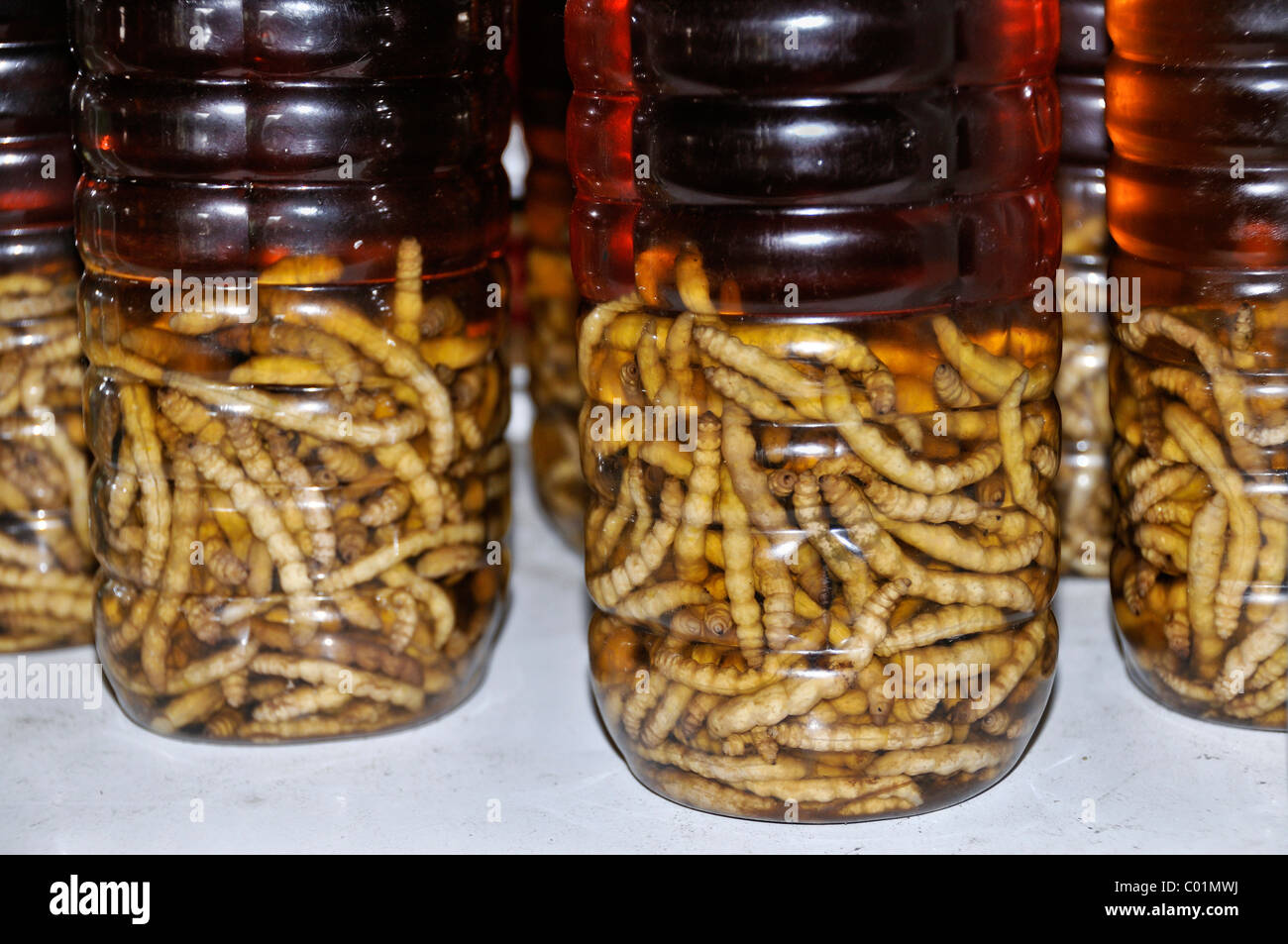 Silkworms in alcohol, energy drink, health drink, Vietnam, Asia Stock ...