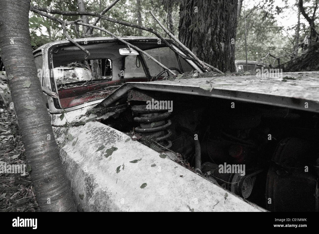 Spring hood scrapyard trees hi-res stock photography and images - Alamy