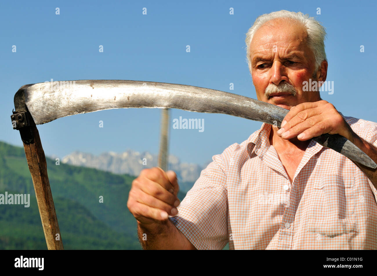 Farmer sharpening a scythe, Reit im Winkl, Bavaria, Germany, Europe ...