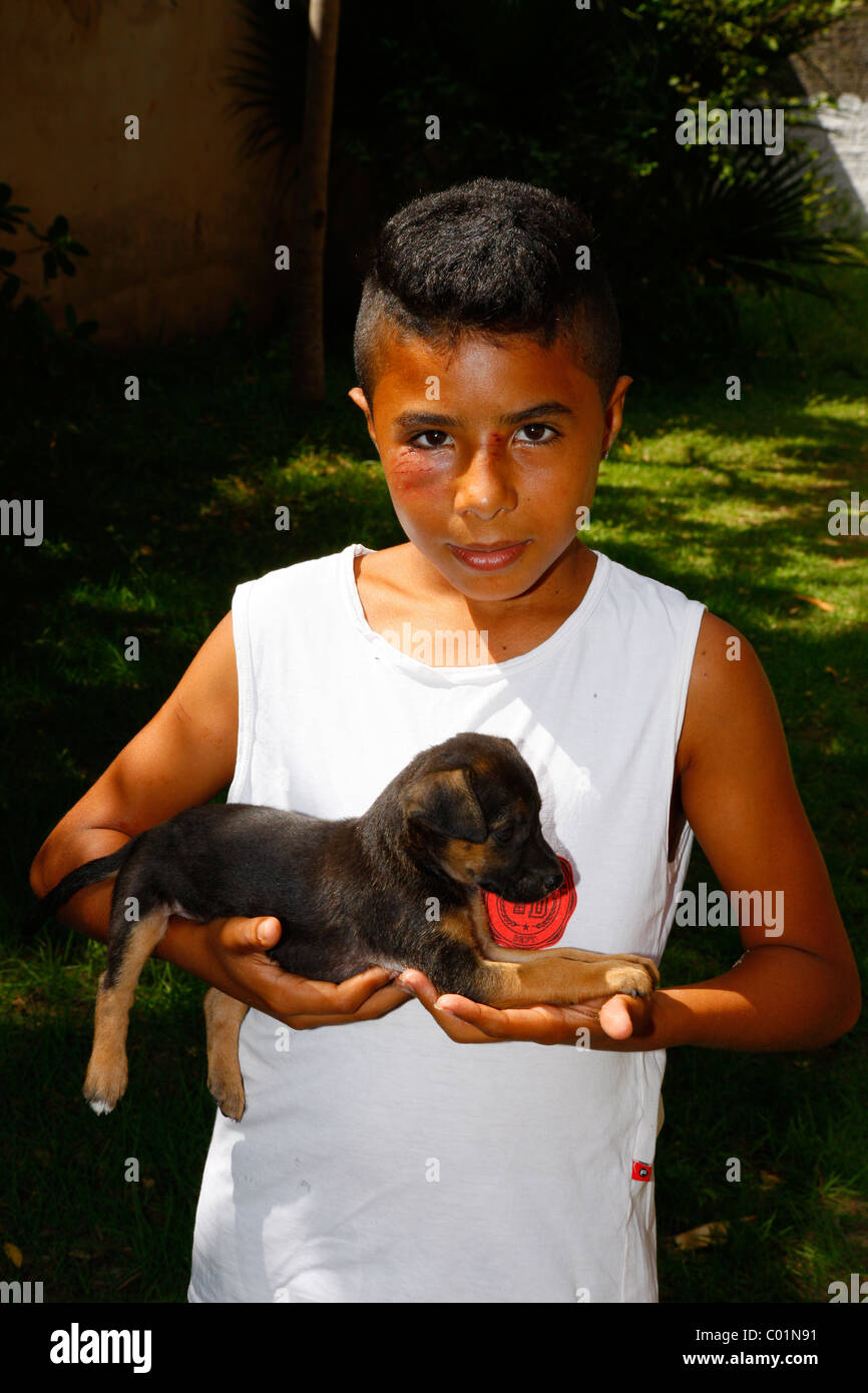 Holds puppy puppies hi-res stock photography and images - Alamy