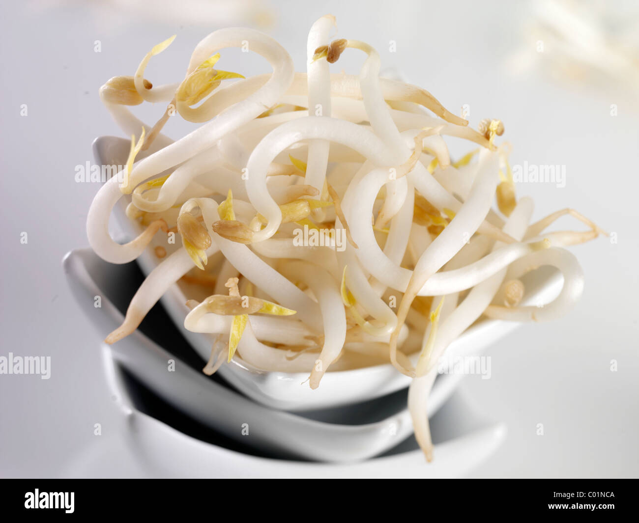 Fresh beansprouts High Resolution Stock Photography and Images - Alamy