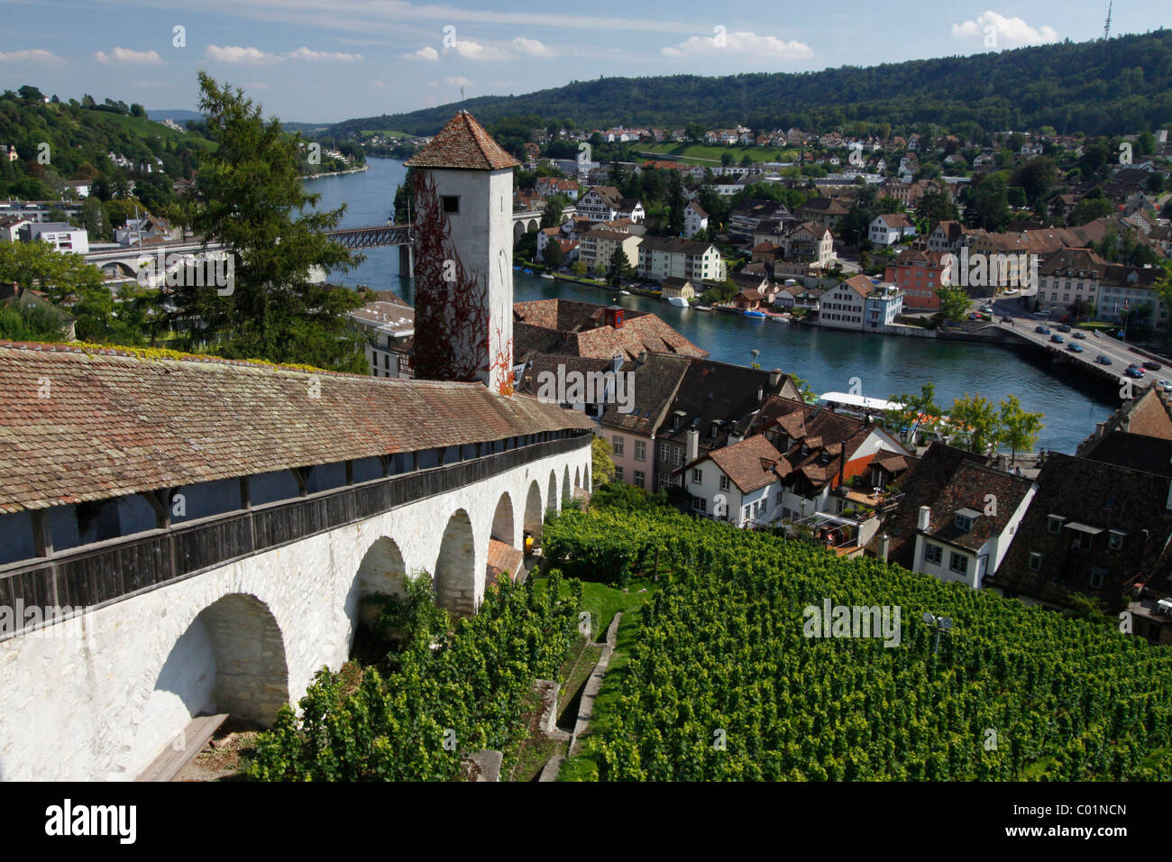 Munot vineyard hi-res stock photography and images - Alamy