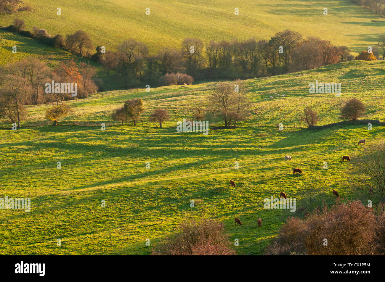 Rolling hill landscape hi-res stock photography and images - Alamy