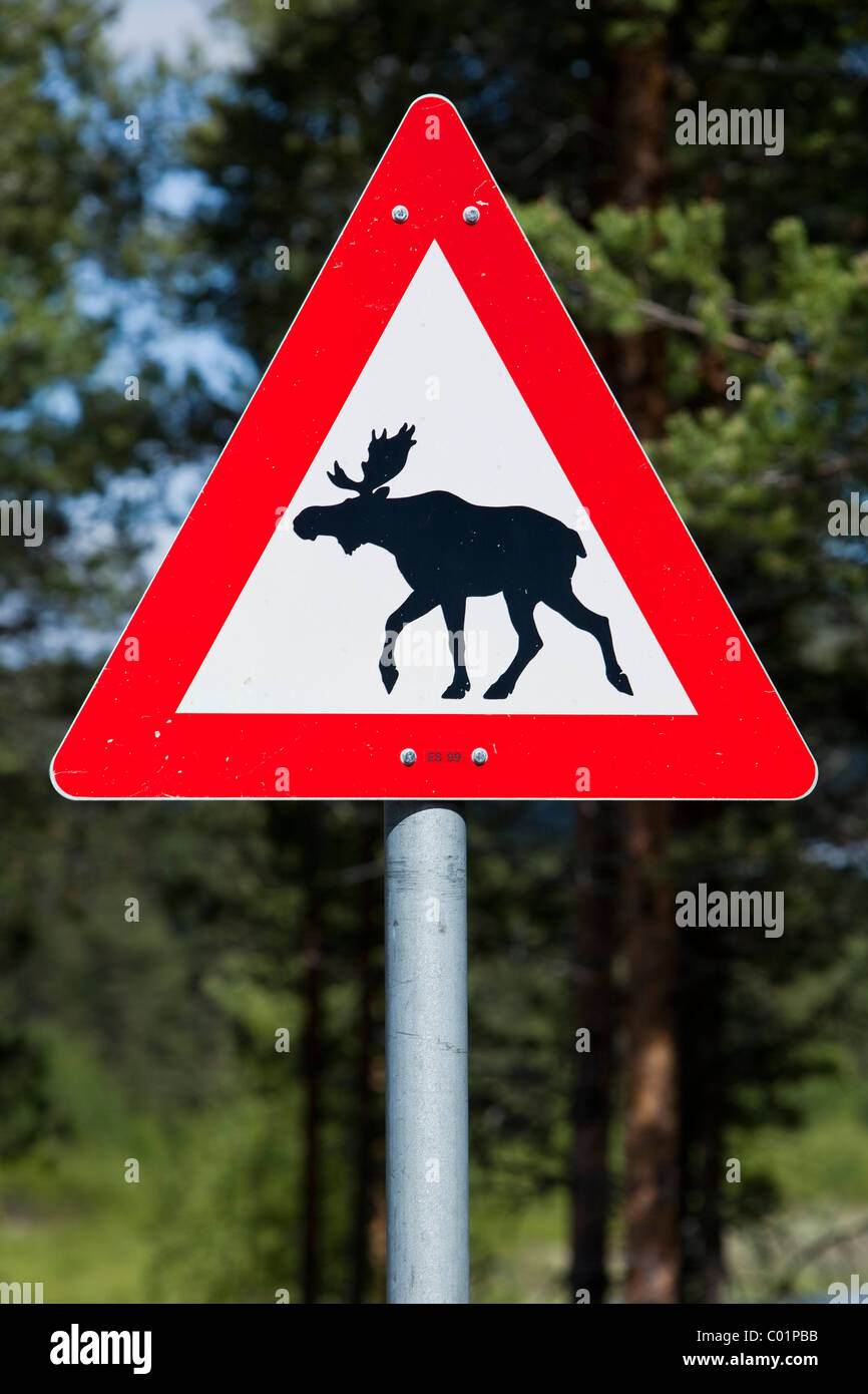 Moose warning sign, Norway, Scandinavia, Europe Stock Photo - Alamy