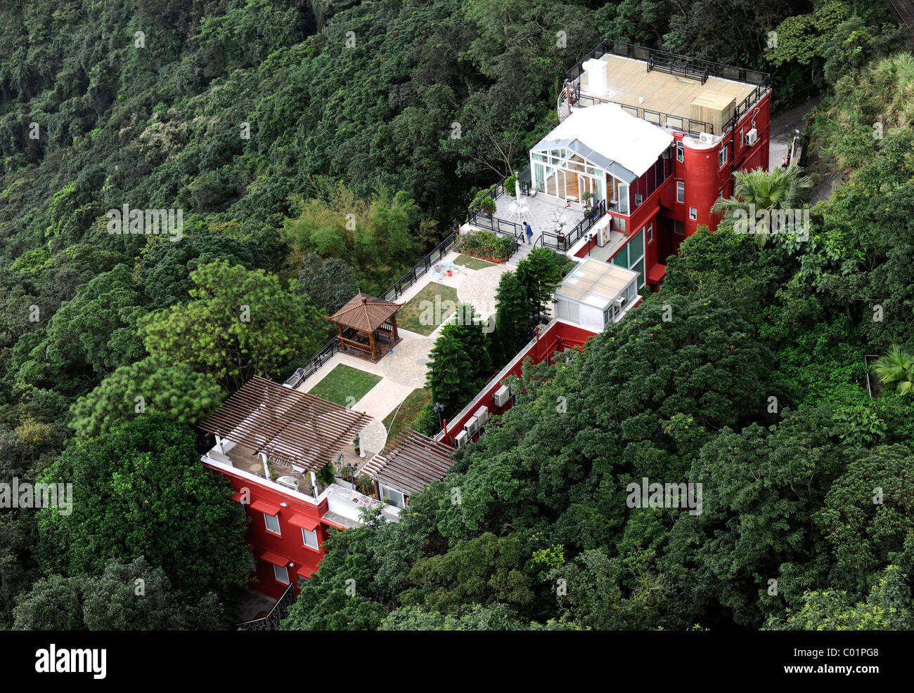 Hong kong forest trees hi-res stock photography and images - Alamy