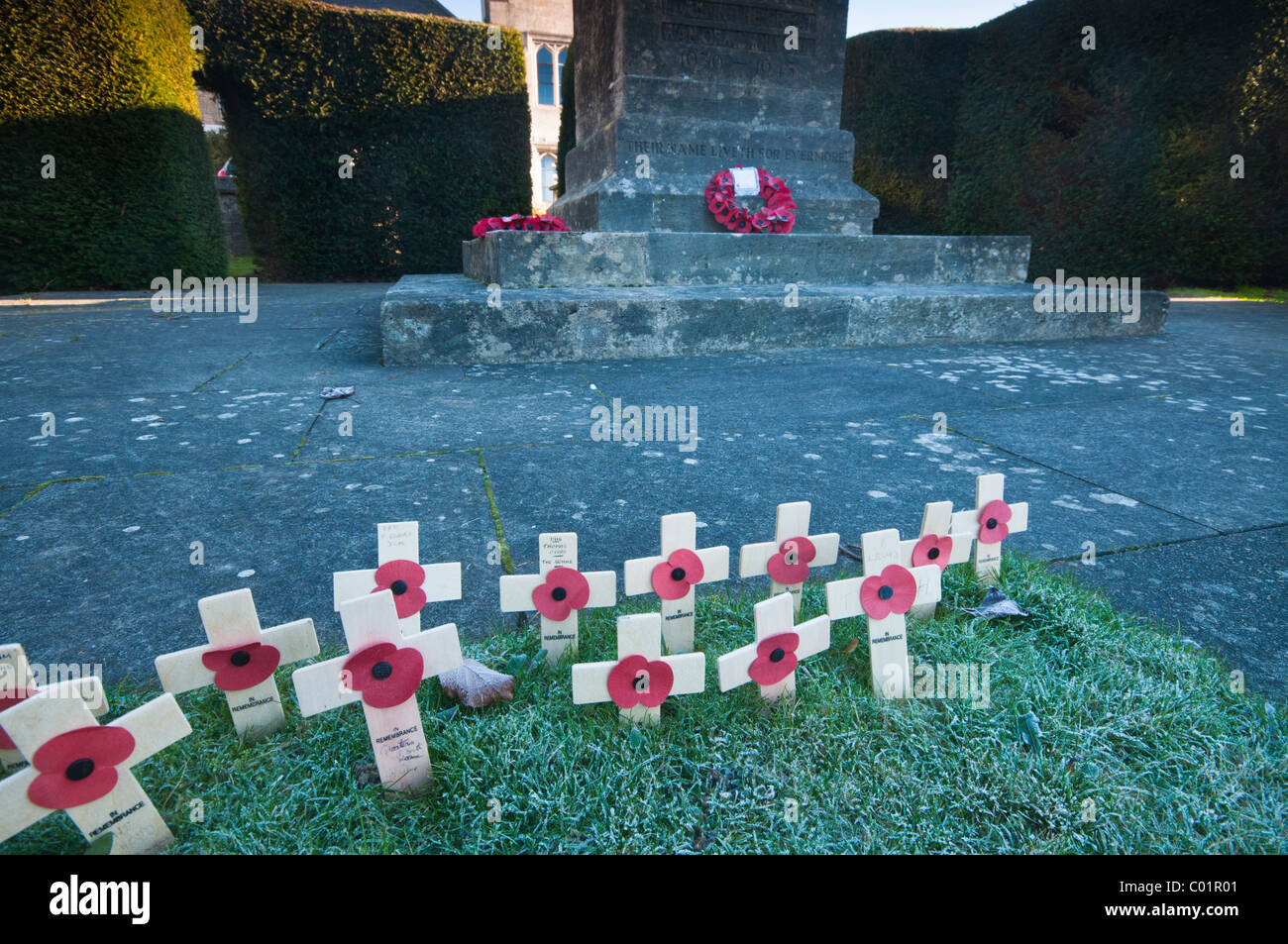 Remembrance poppy display hi-res stock photography and images - Alamy