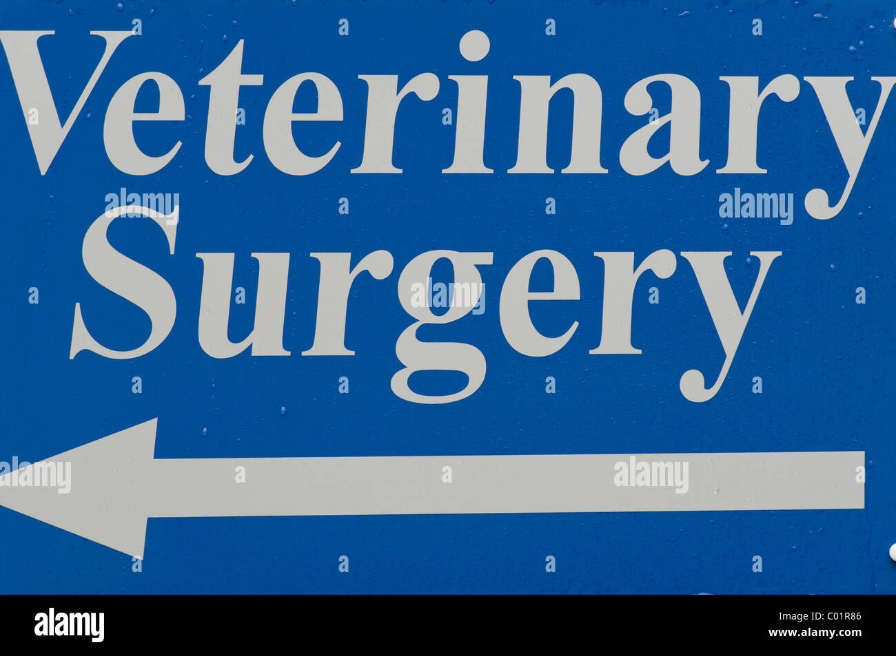 Veterinary Surgery Sign Stock Photo - Alamy