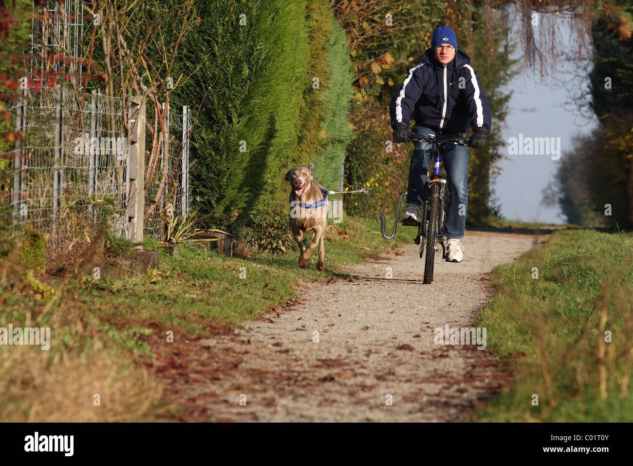 cycling with dog Stock Photo - Alamy
