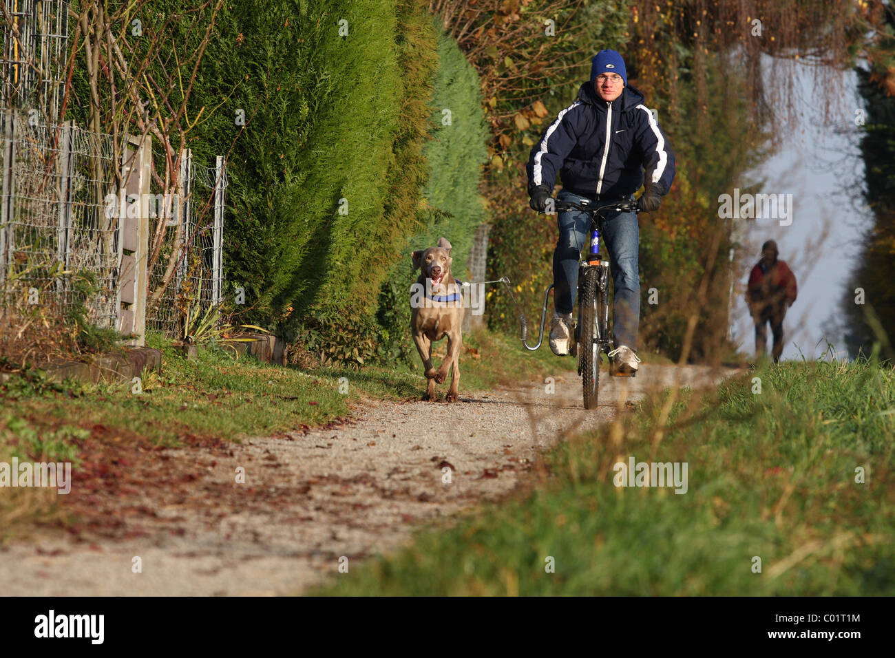 cycling with dog Stock Photo - Alamy