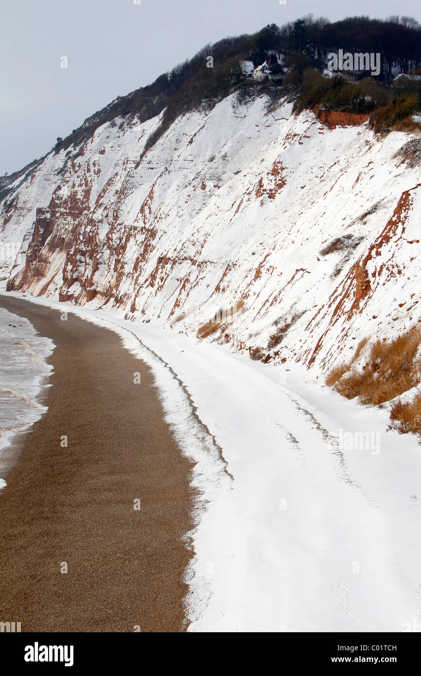 Sidmouth devon winter hi-res stock photography and images - Alamy
