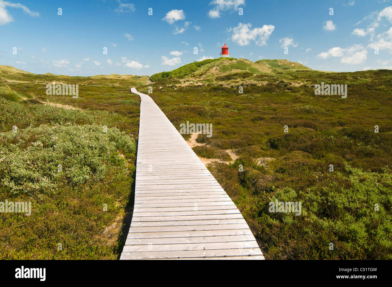 Amrum Germany Boardwalk Amrum High Resolution Stock Photography and ...