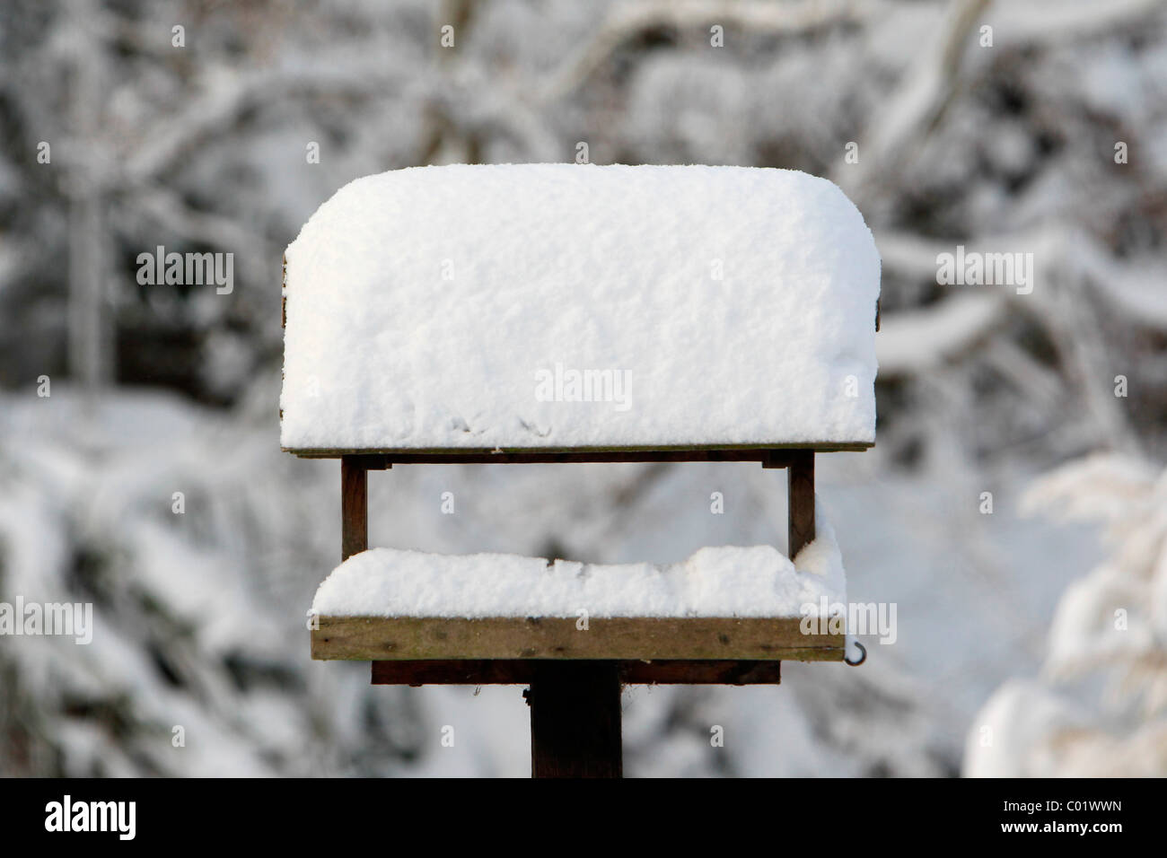 A snow covered Bird table Stock Photo - Alamy