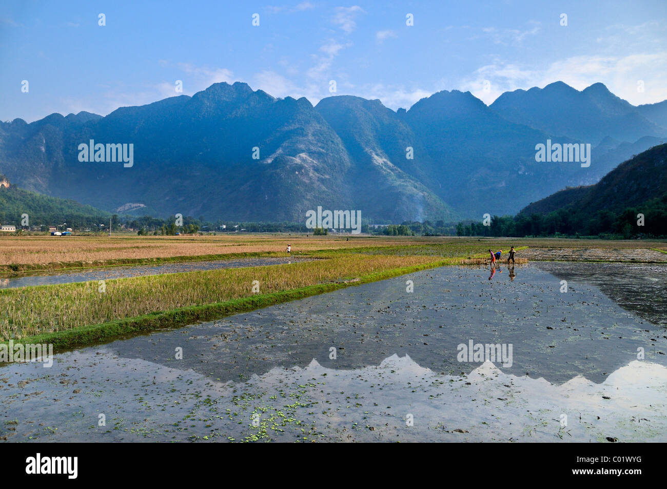 Mai chau field hi-res stock photography and images - Alamy
