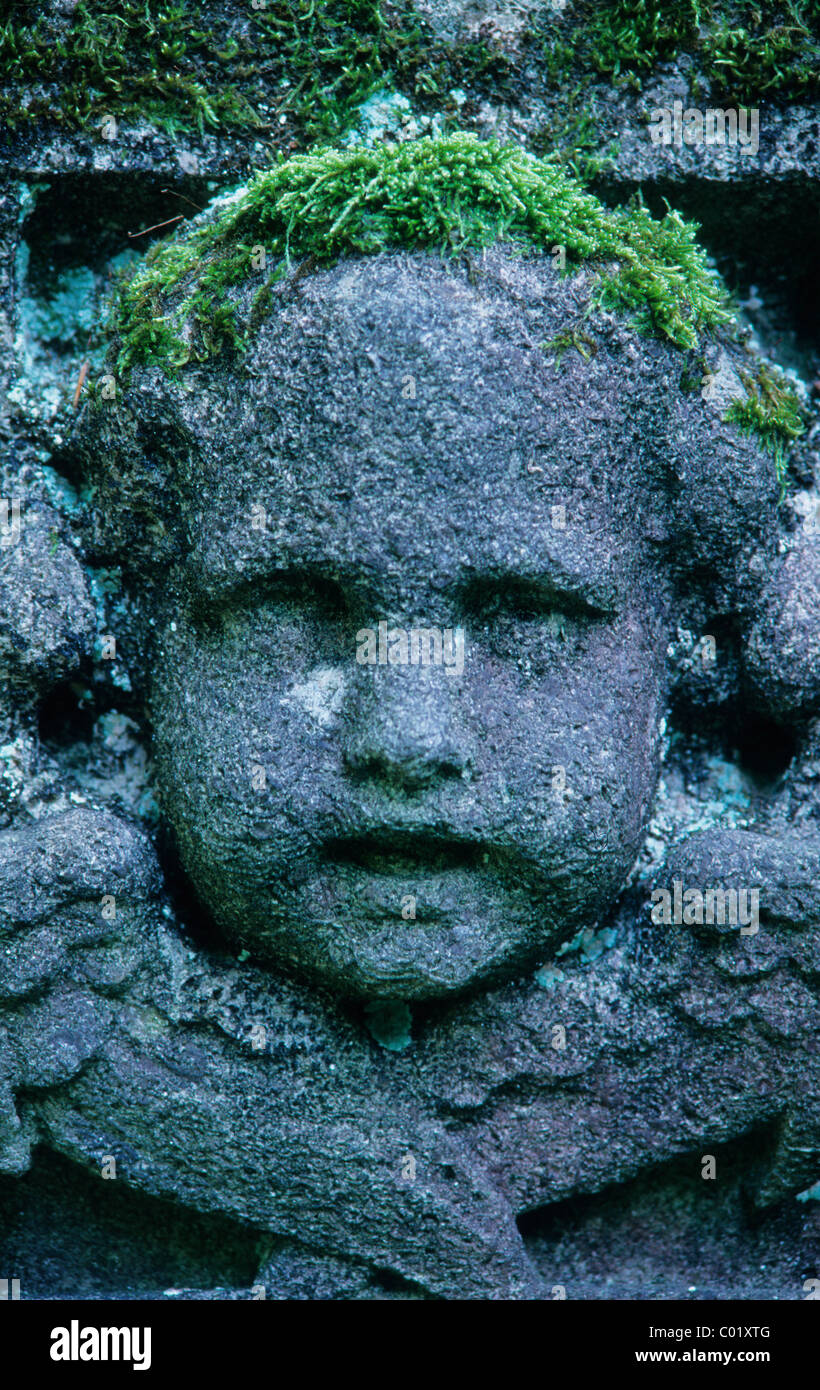 Green Angel's Instagram, Twitter & Facebook on IDCrawl