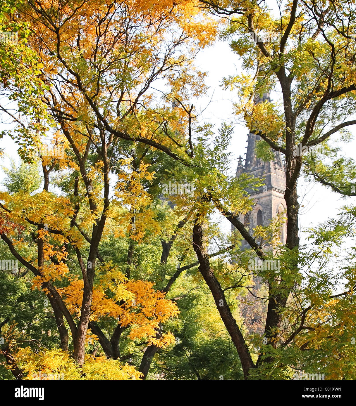 Gothic cathedral in autumn Stock Photo - Alamy