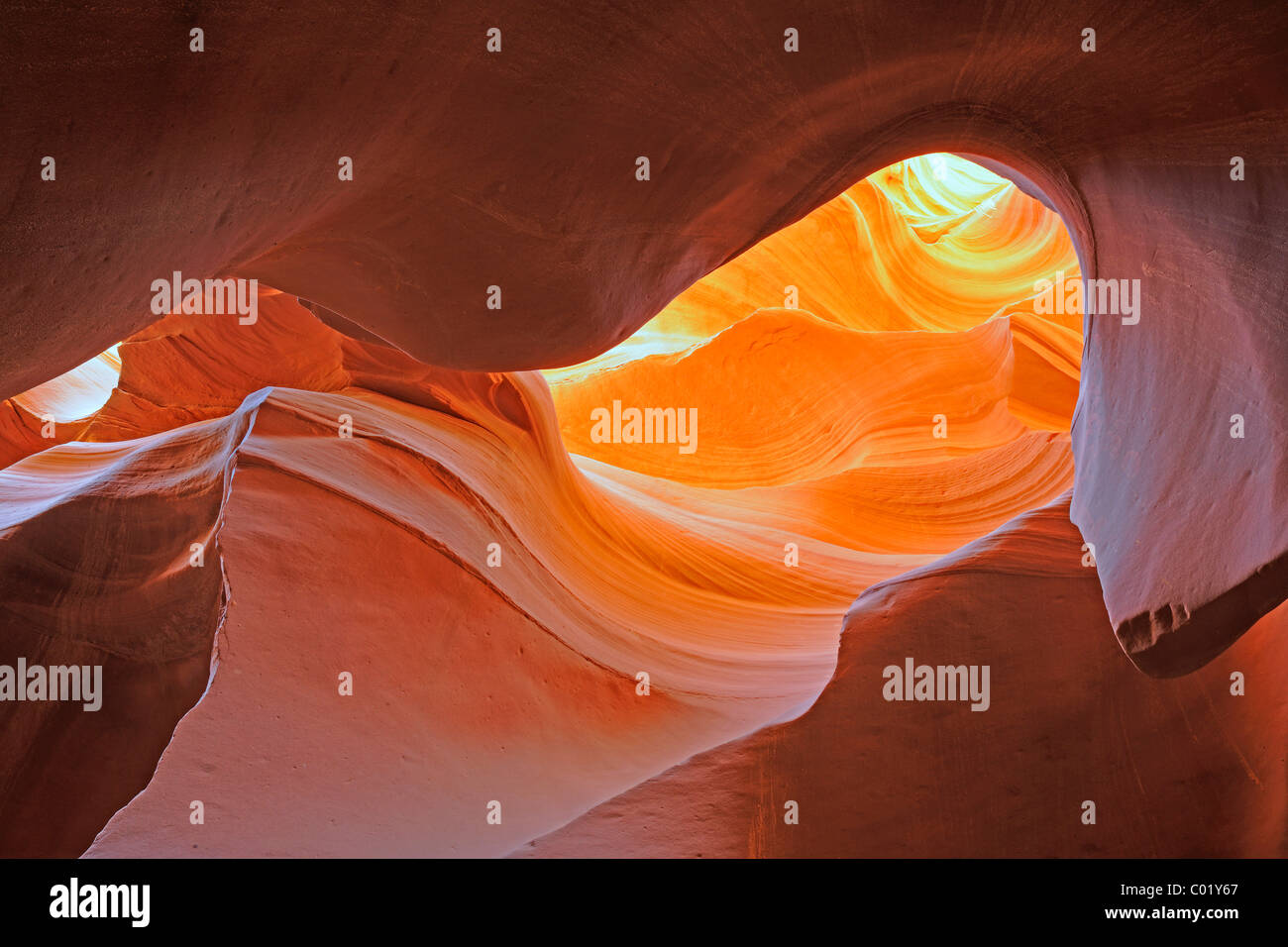 Curved structures hi-res stock photography and images - Alamy