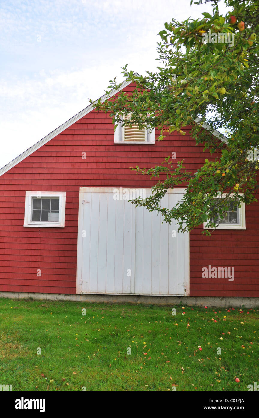 red barn with apple tree, door closed Stock Photo - Alamy