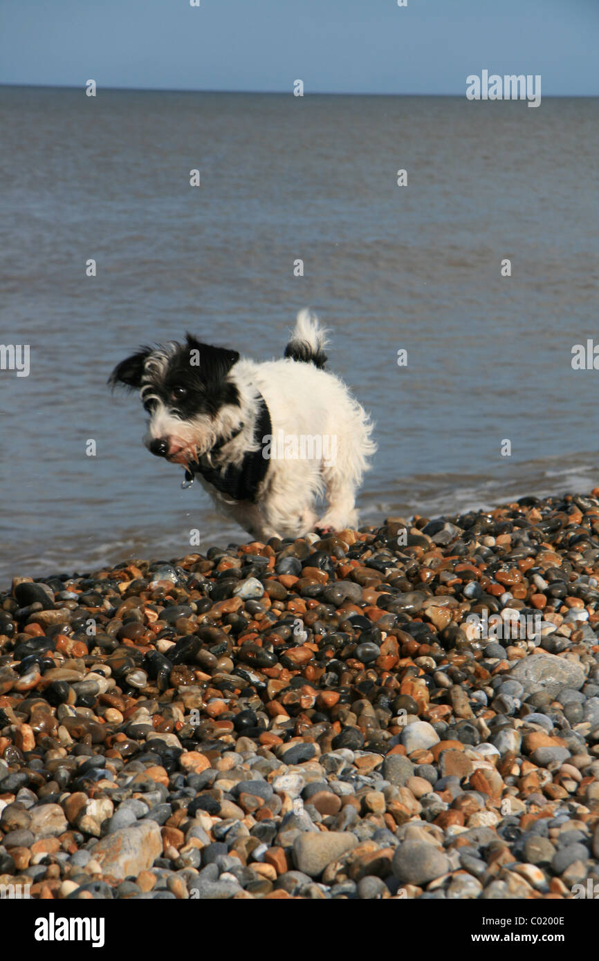 don't get wet! Stock Photo - Alamy