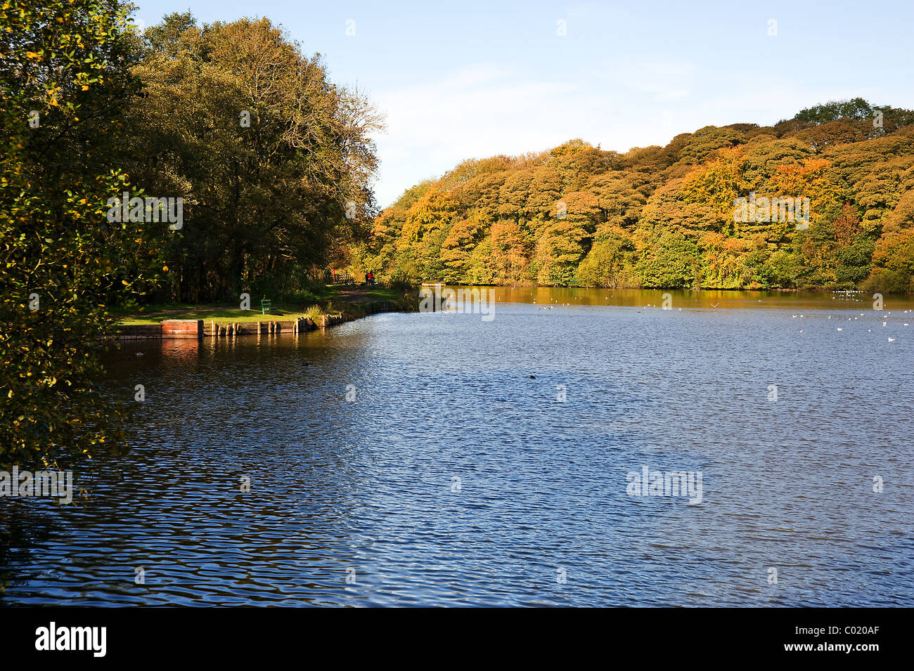 Birkacre Lodge, Yarrow Valley Country Park, Lancashire Stock Photo - Alamy