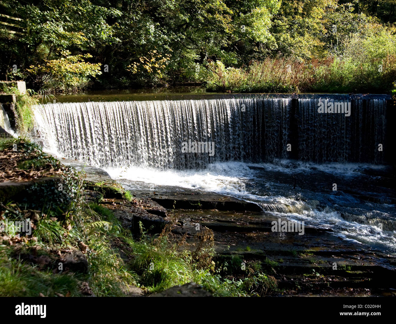 Birkacre Weir, on the River Yarrow, in the Yarrow Valley Country Park ...