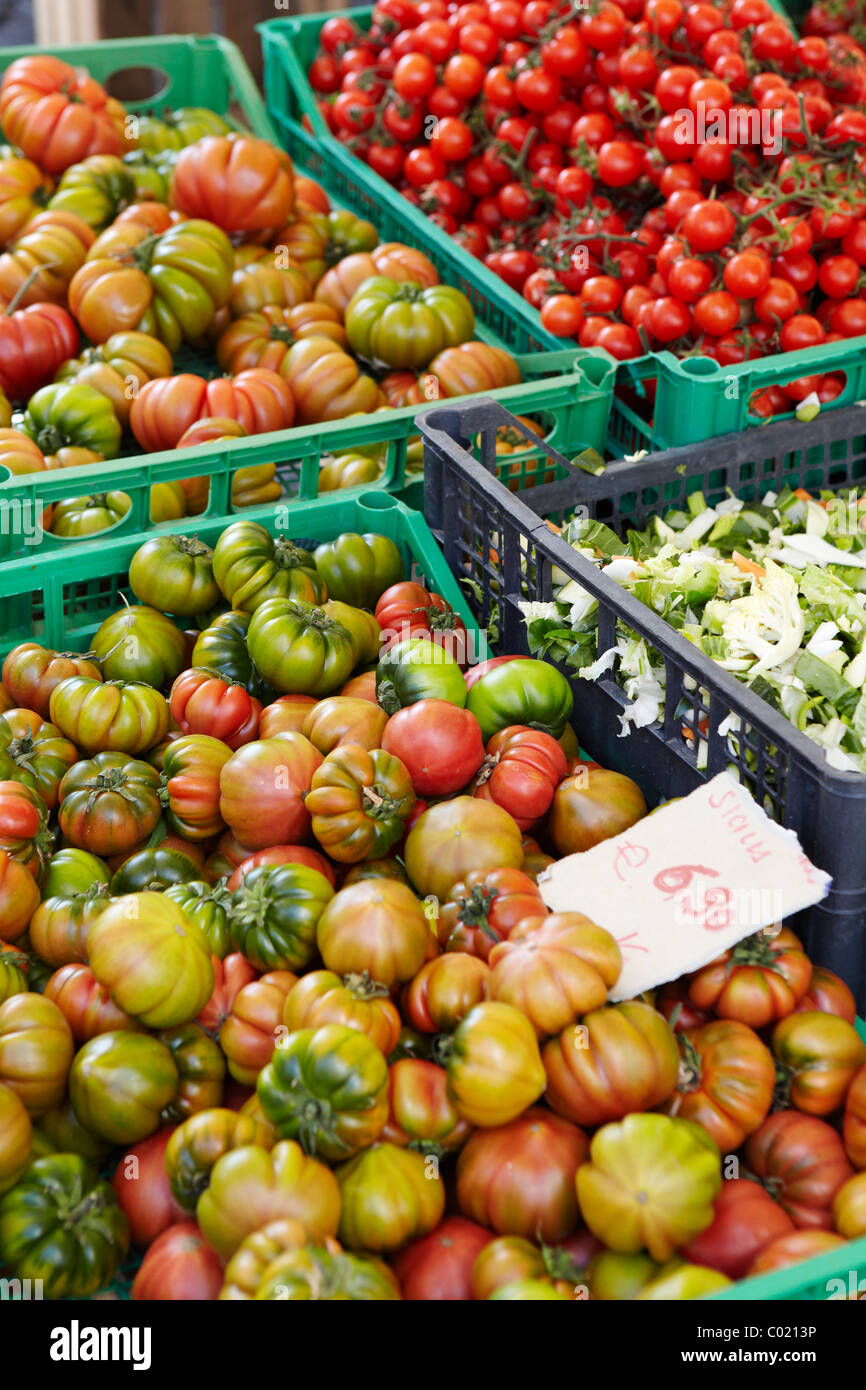 Tomatoes at a market in Rome, Italy Stock Photo - Alamy
