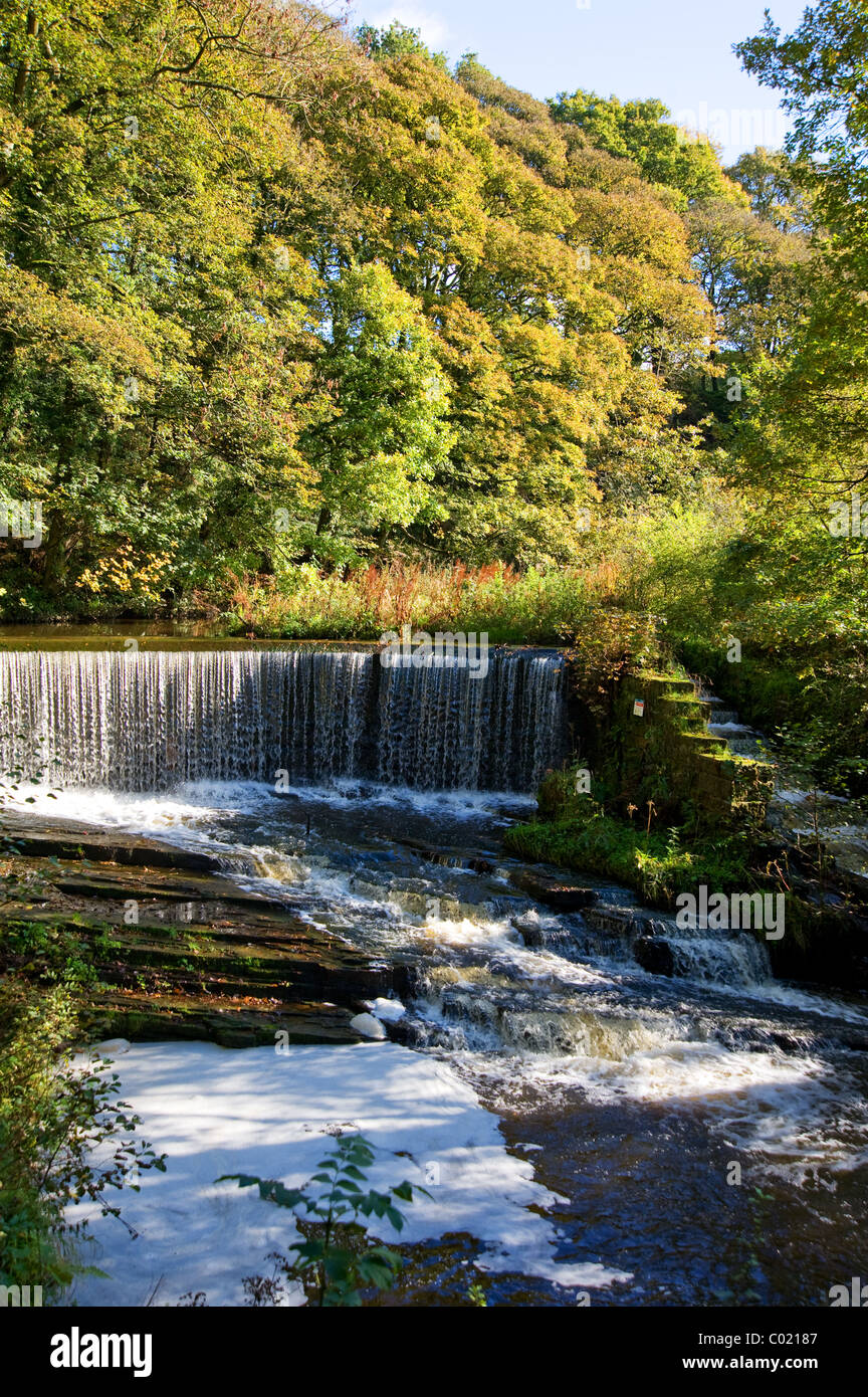 Birkacre Weir, on the River Yarrow, in the Yarrow Valley Country Park ...