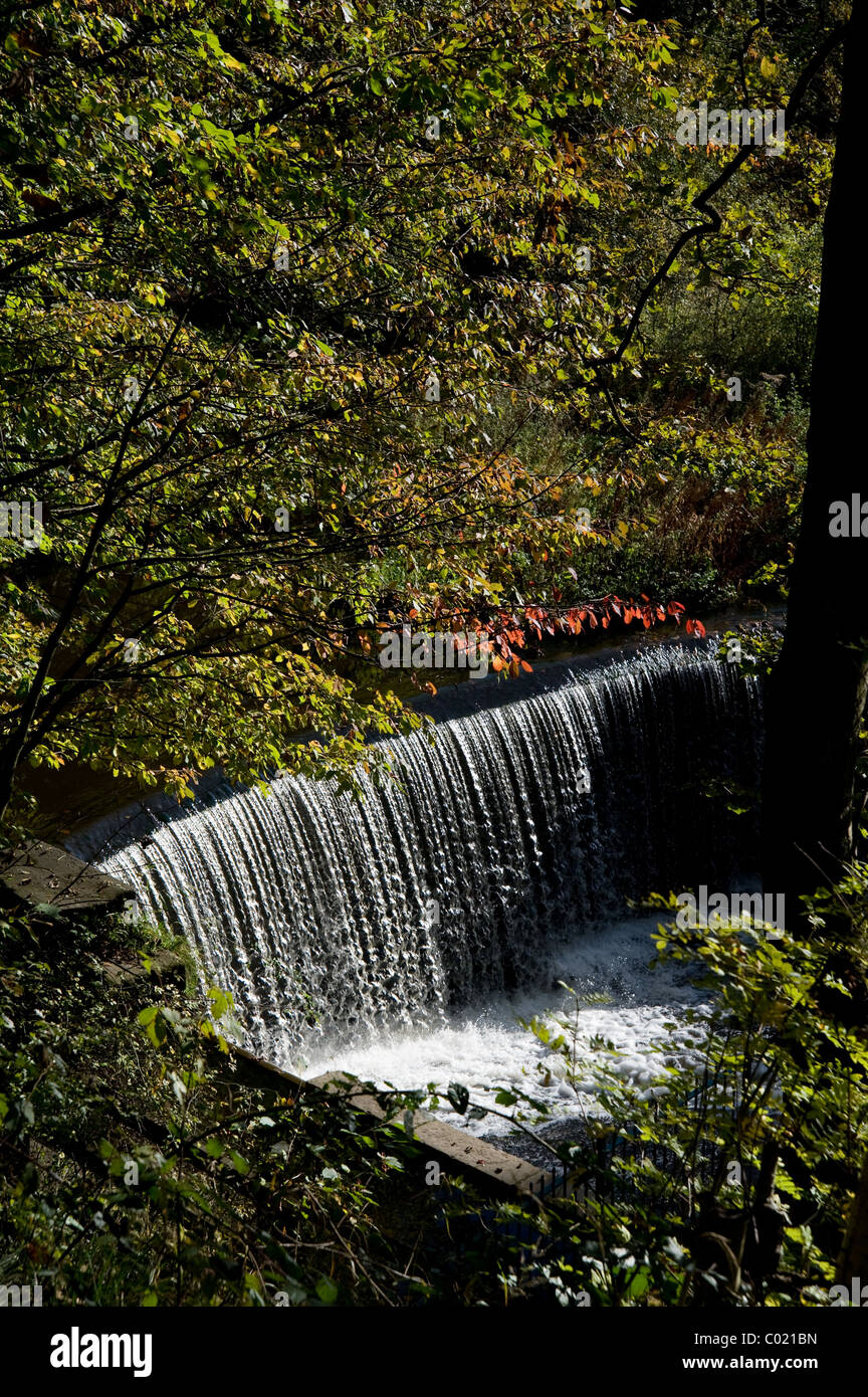 Birkacre Weir, on the River Yarrow, in the Yarrow Valley Country Park ...