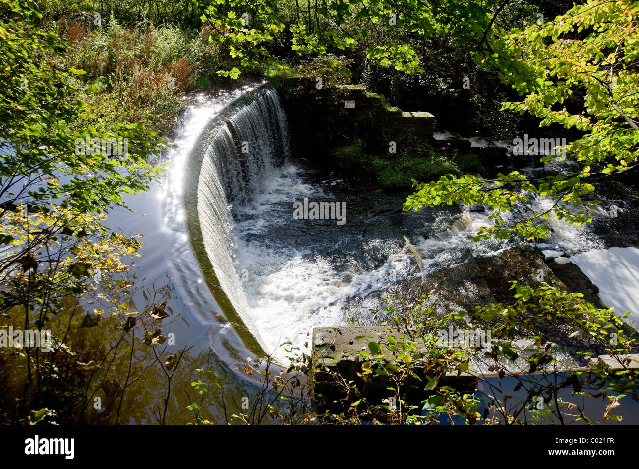 Birkacre Weir, on the River Yarrow, in the Yarrow Valley Country Park ...