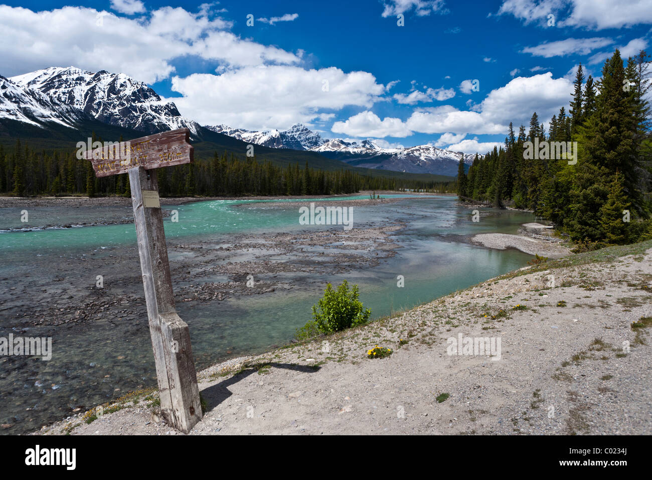 Athabasca river view hi-res stock photography and images - Alamy
