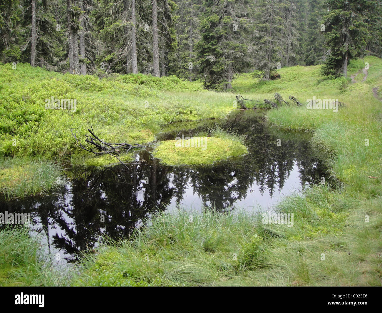 Alpine pond trail hi-res stock photography and images - Alamy