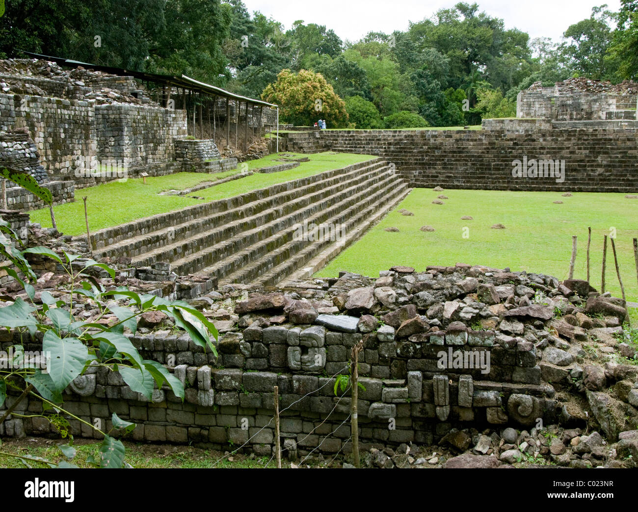 Maya ruins acropolis quirigua guatemala hi-res stock photography and ...