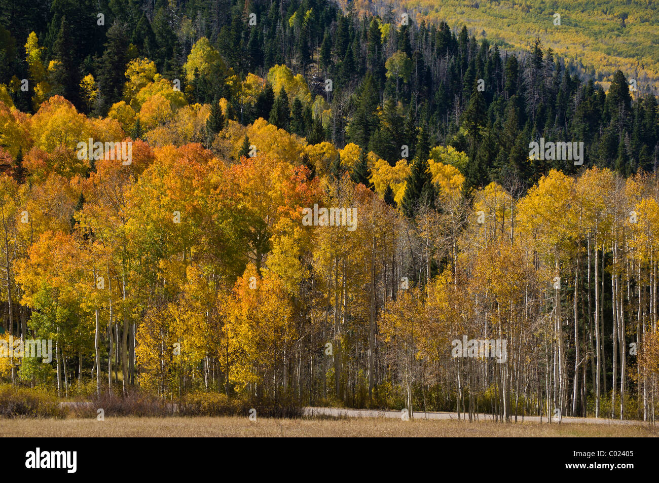 Cedar breaks national monument hi-res stock photography and images - Alamy