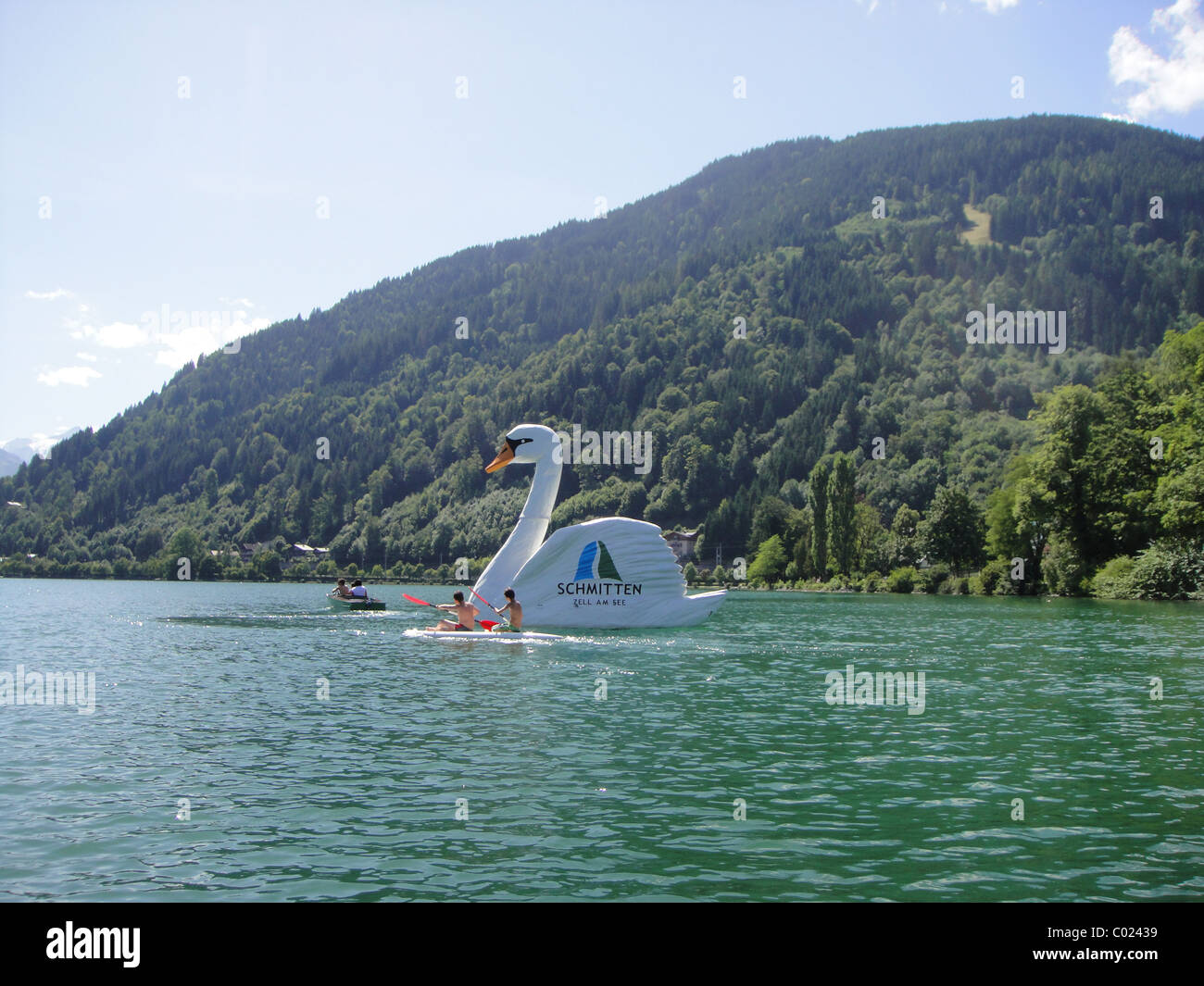 Giant swan hi-res stock photography and images - Alamy