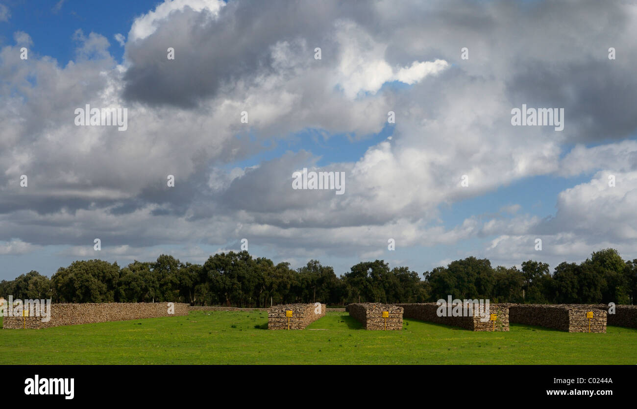 Cork oak trees in morocco hi-res stock photography and images - Alamy