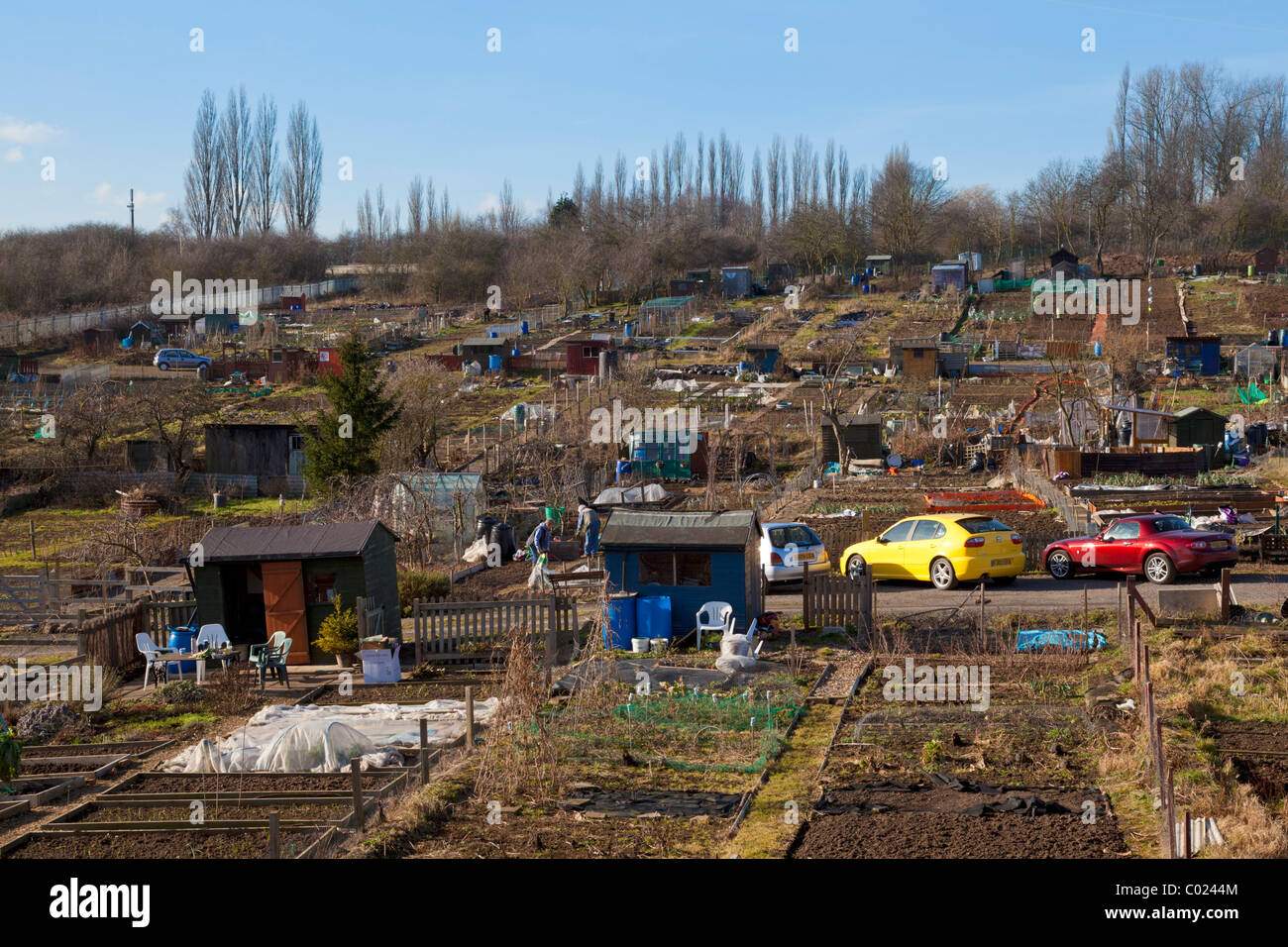 Allotments in the city centre England Stock Photo - Alamy