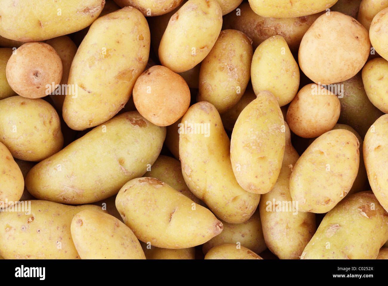 mini potato background close up image Stock Photo - Alamy