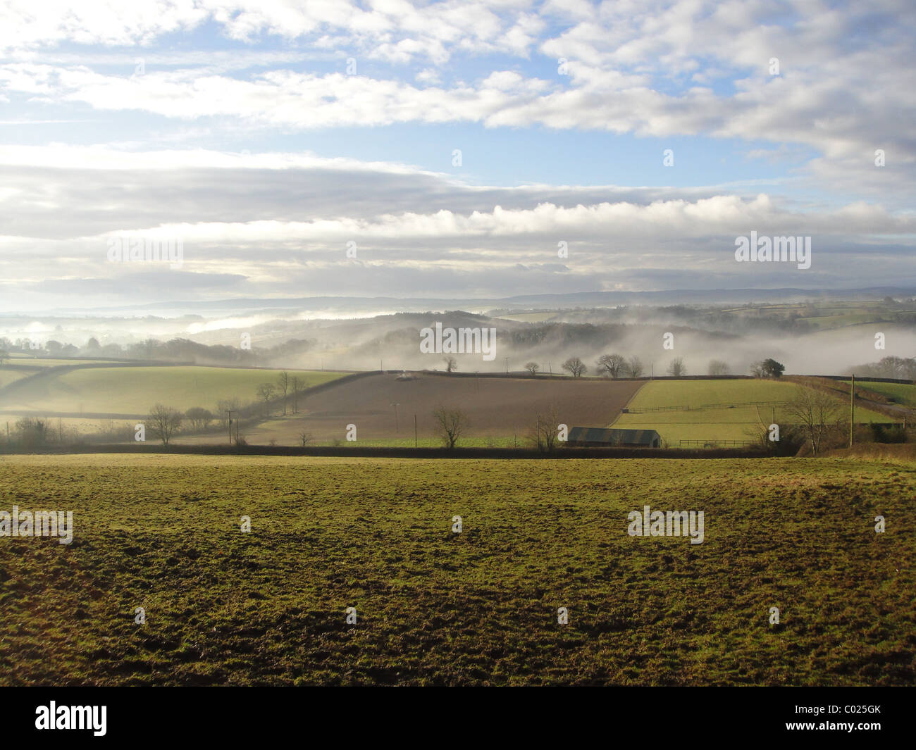 Misty morning view of the English countryside in Devon Stock Photo - Alamy