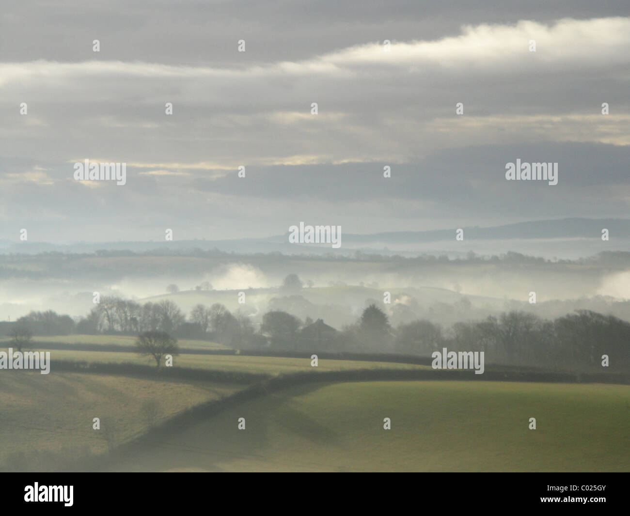 Misty morning view of the English countryside in Devon Stock Photo - Alamy