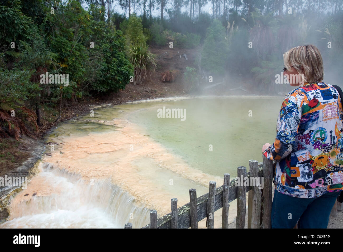 mud pools, Wai-O-Tapu Thermal Wonderland, between Taupo and Rotorua ...